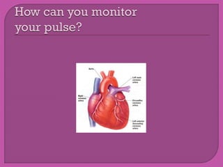 Pulse monitoring | PPT