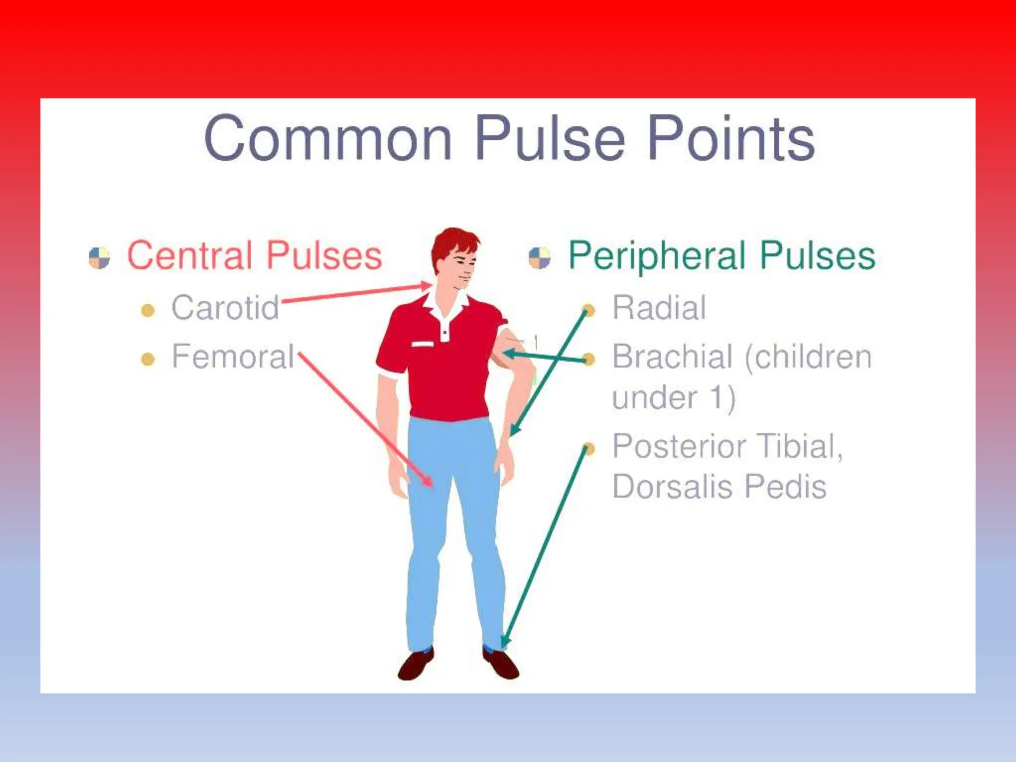 PULSE OR HEART RATE,TYPES OF PULSE ,FACTORS AFFECTING AND REGULATION .pptx