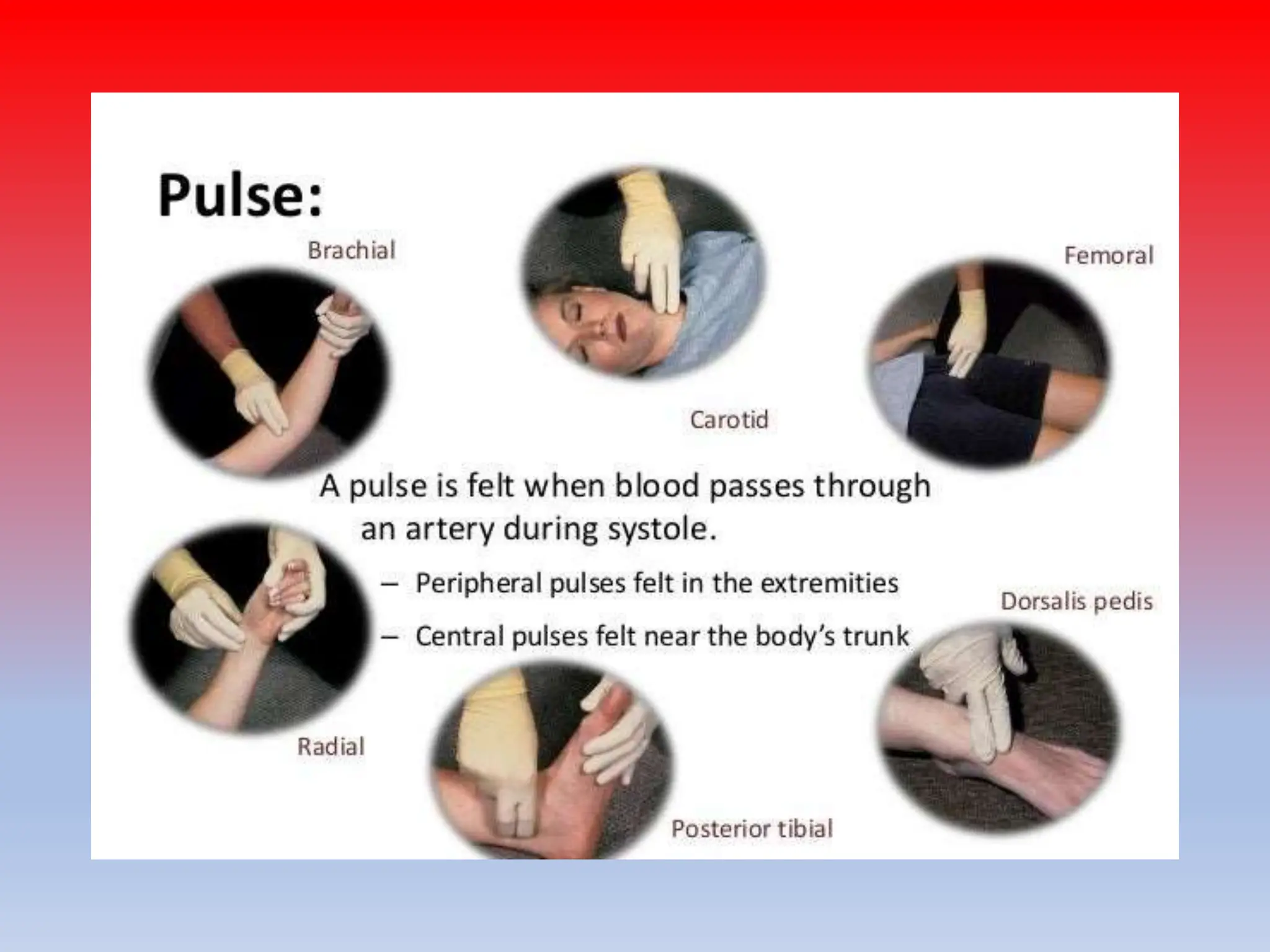 PULSE OR HEART RATE,TYPES OF PULSE ,FACTORS AFFECTING AND REGULATION .pptx