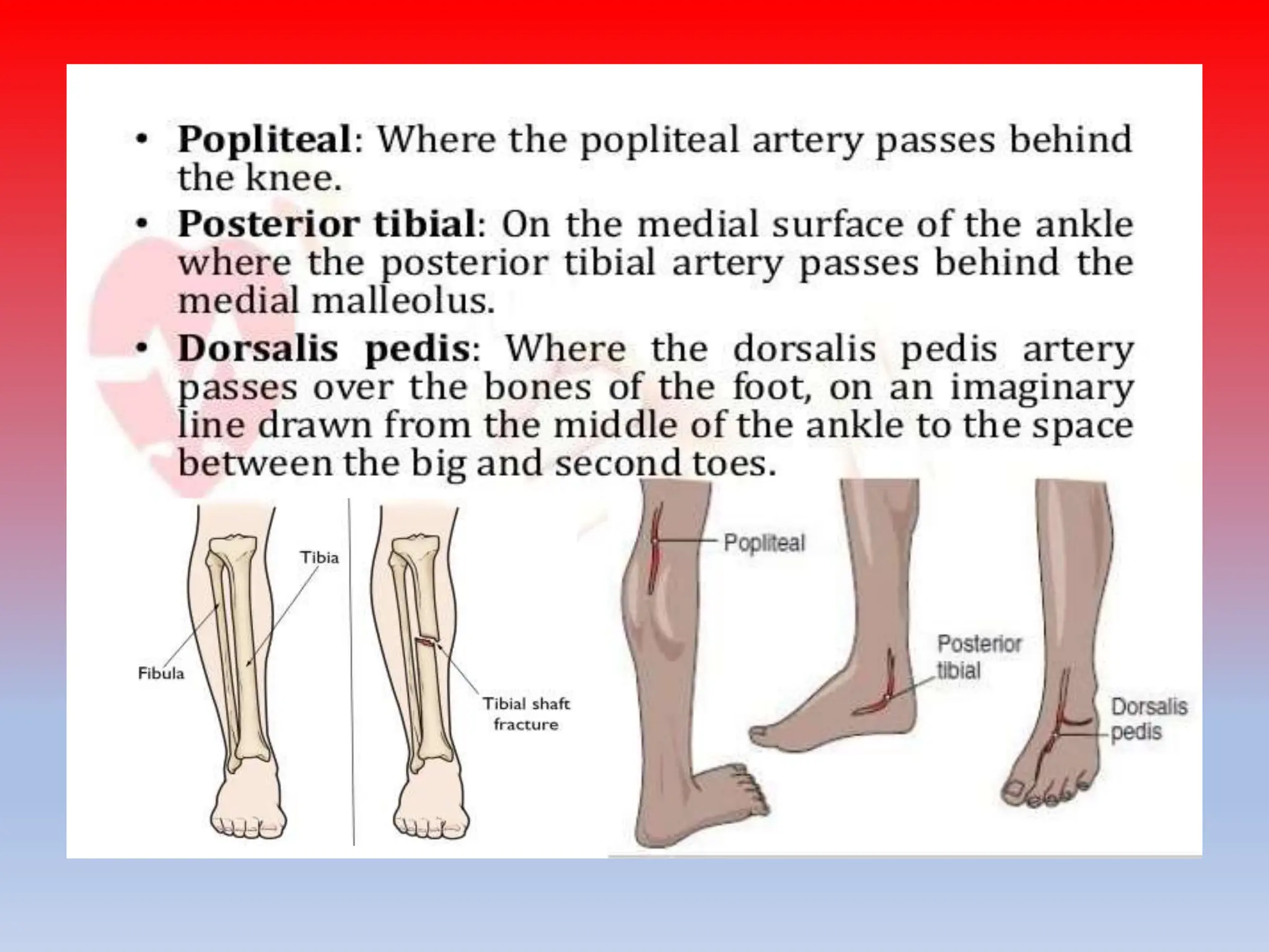 PULSE OR HEART RATE,TYPES OF PULSE ,FACTORS AFFECTING AND REGULATION .pptx