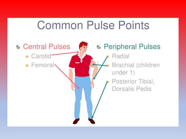 PULSE OR HEART RATE,TYPES OF PULSE ,FACTORS AFFECTING AND REGULATION ...