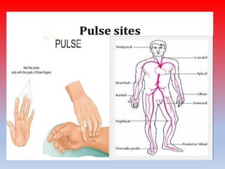 PULSE OR HEART RATE,TYPES OF PULSE ,FACTORS AFFECTING AND REGULATION .pptx