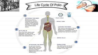 Pulse polio programme.pptx