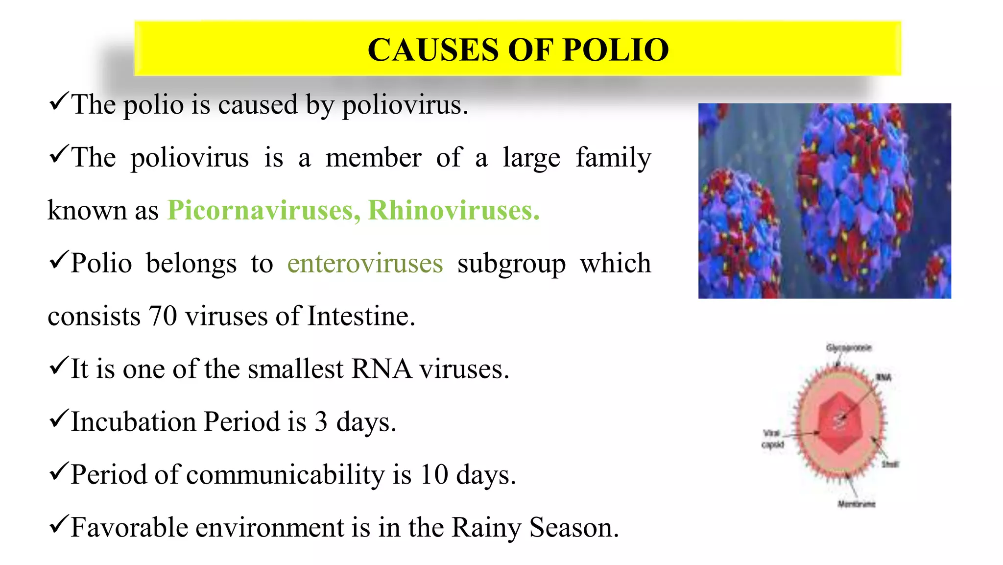 Pulse polio programme.pptx
