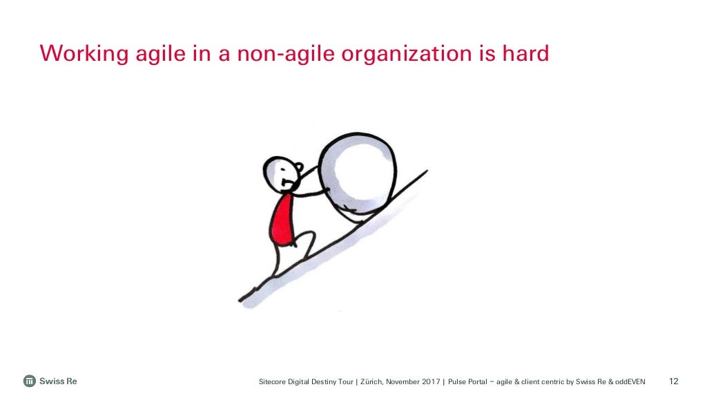 Pulse portal - moliabc