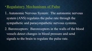 pulse ppt.pptx Types of pulse , characteristics of pulse , Alteration ...
