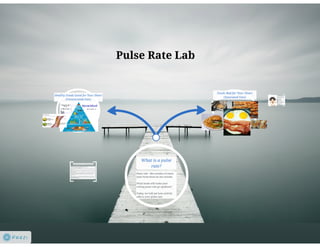 Pulse Rate Presentation | PPT