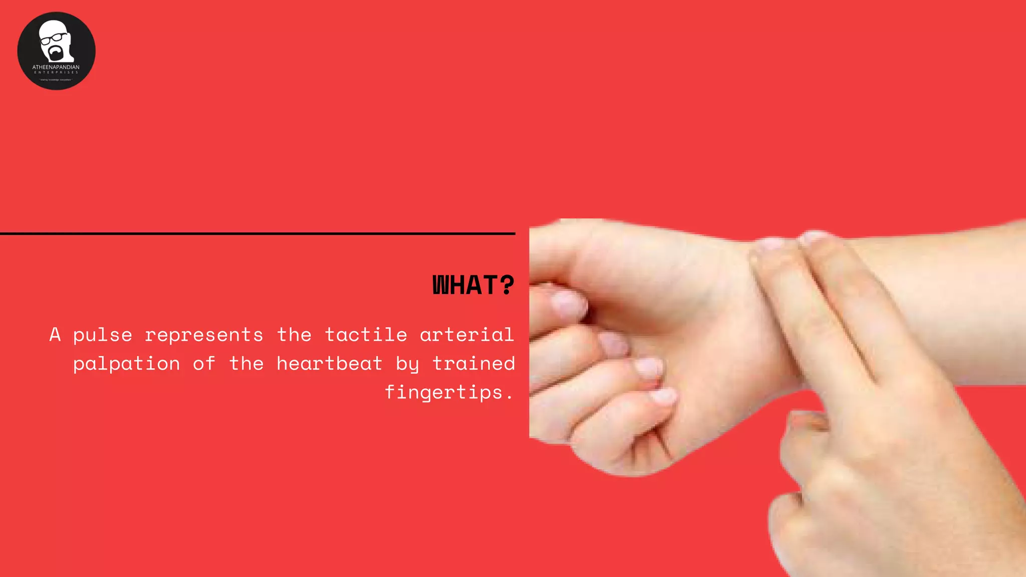 Pulse rate of Human - Basics | PDF