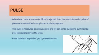 Pulse rate measurement | PDF