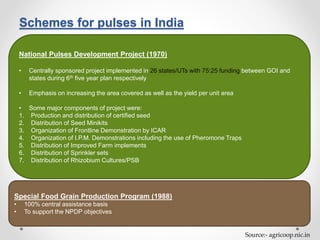 Pulses: India and World | PPTX