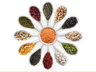 Pulses | PPTX