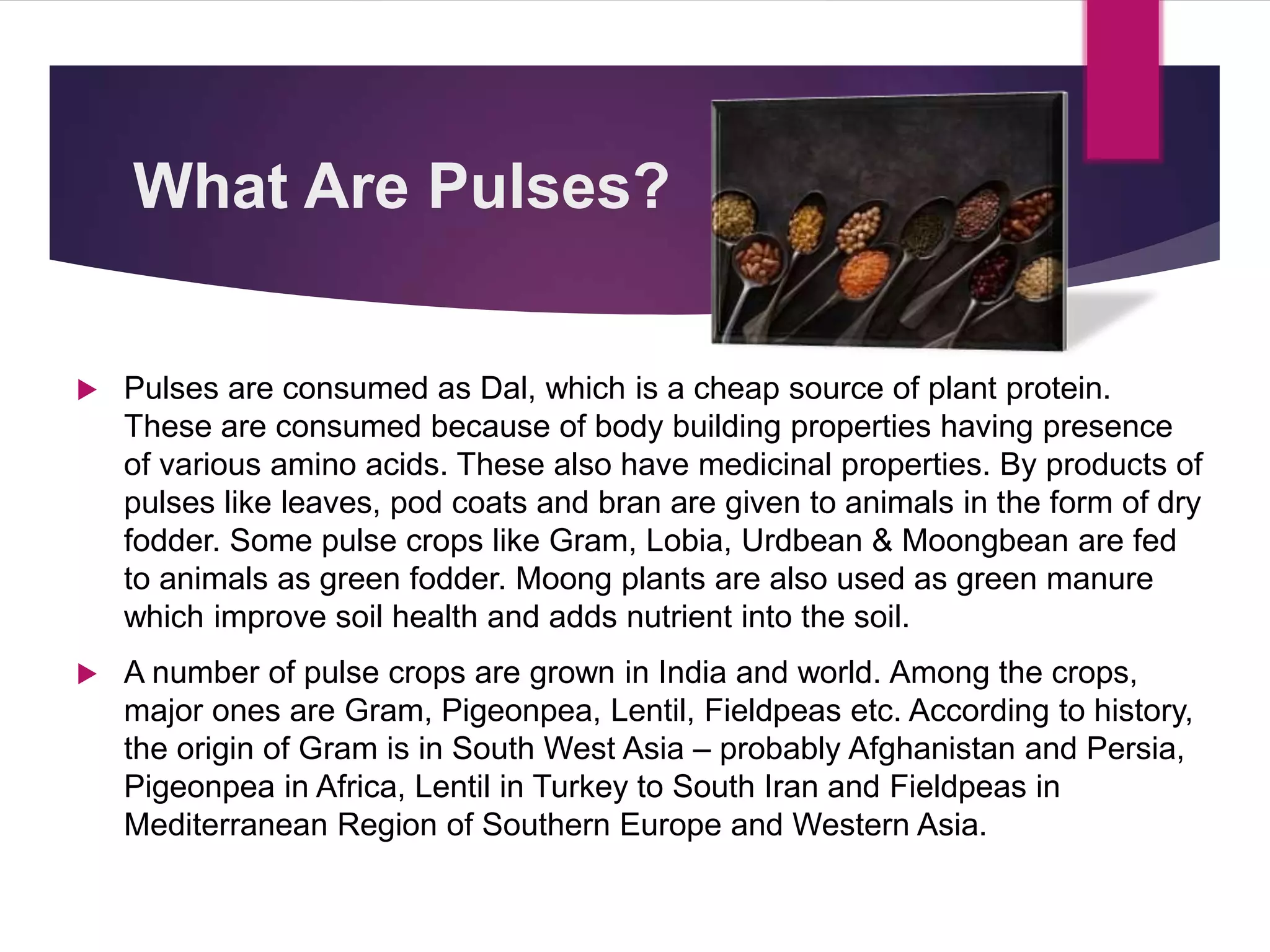 Pulses of INDIA Agronomy agriculture presentation | PPTX