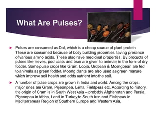 Pulses of INDIA Agronomy agriculture presentation | PPTX