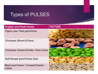 Pulses of INDIA Agronomy agriculture presentation | PPTX