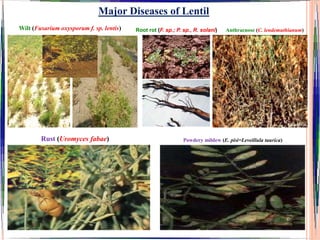 Pulses-BHUPPT.ppt