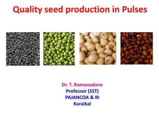 Quality Seed Production in Pulses | PPTX