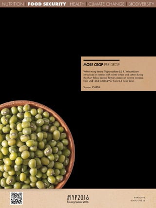 Pulses and food security | PDF