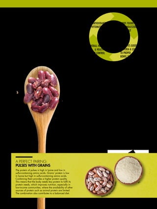 Pulses and health benefits | PDF