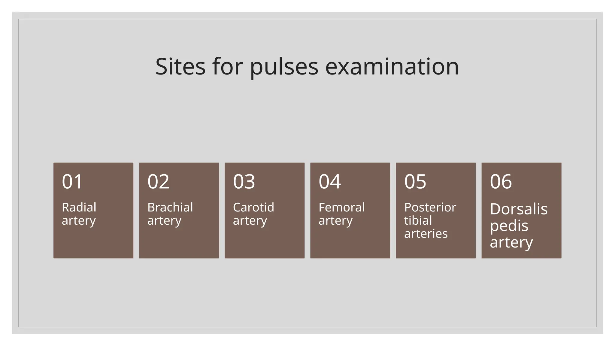 Pulses examination.pptx and pdf by Dr Khansa | PPTX