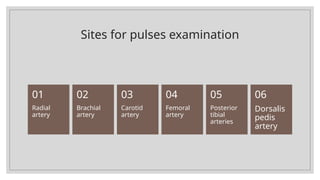 Pulses examination.pptx and pdf by Dr Khansa | PPTX