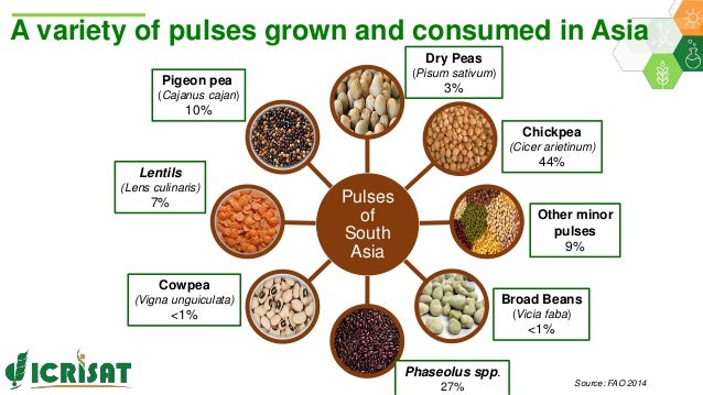 Pulses for improved nutrition and the role of biotechnologies