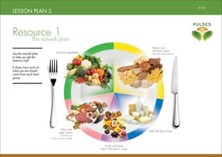 Pulses_Lesson_Plan_2.pdf