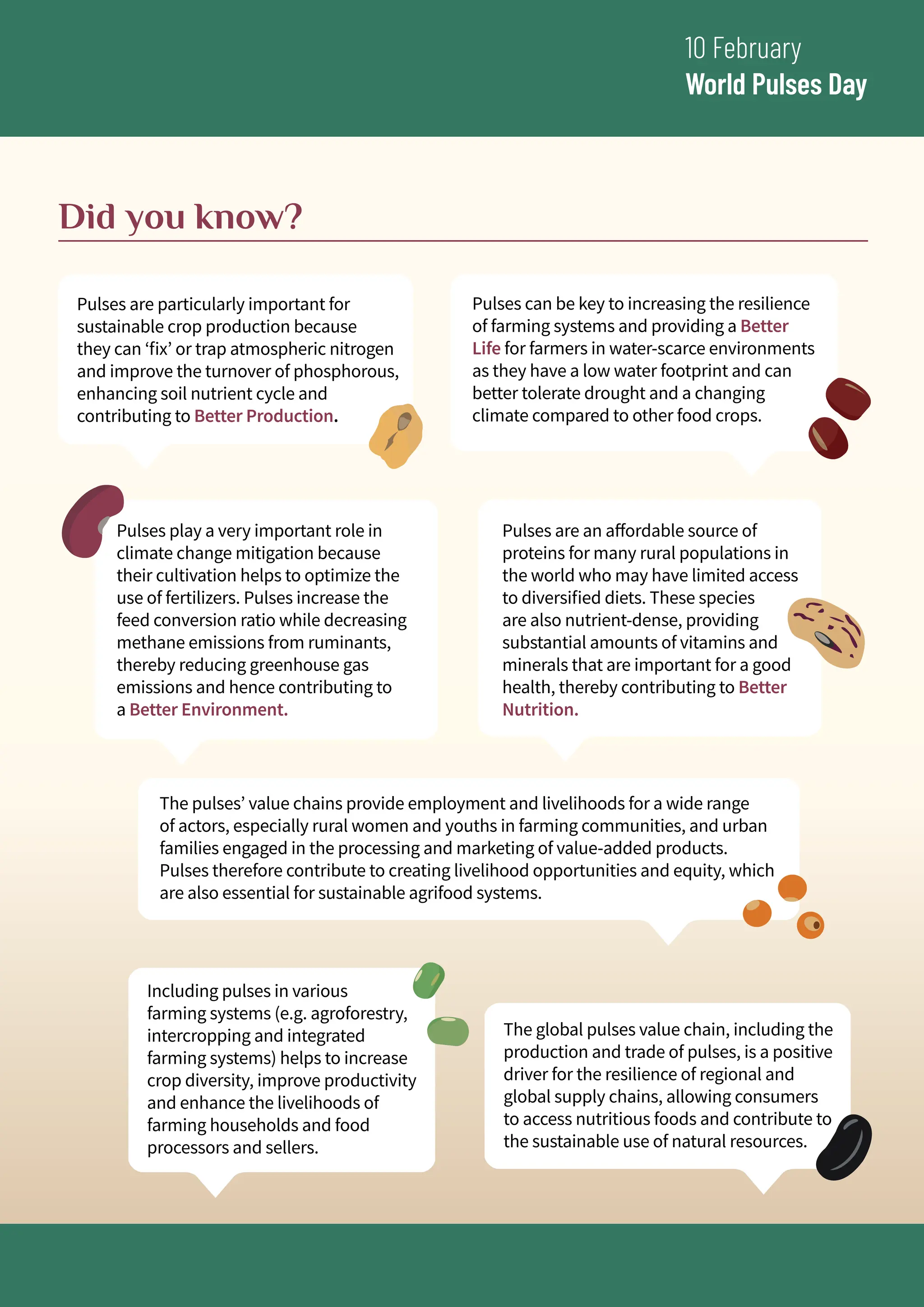 Pulses, nourishing soils and people. | PDF