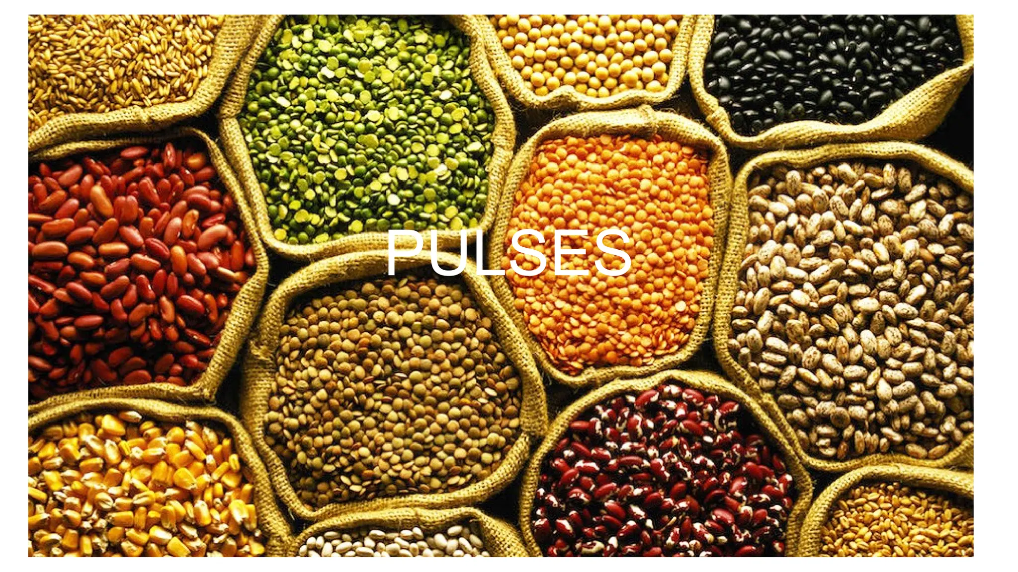 Pulse classification and information about pulse | PPTX