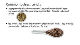 Pulse classification and information about pulse | PPTX