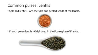 Pulse classification and information about pulse | PPTX