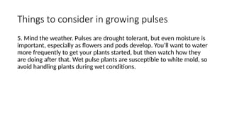 Pulse classification and information about pulse | PPTX