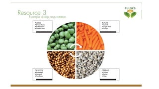 Pulse classification and information about pulse | PPTX