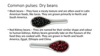 Pulse classification and information about pulse | PPTX