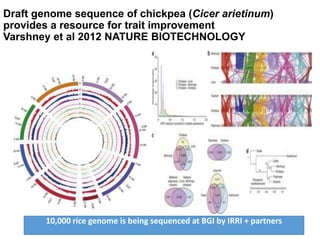 Pulses r and d in india dr. s k datta | PPTX