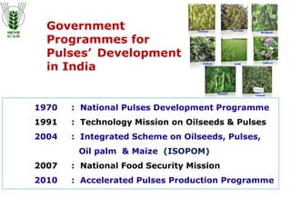 Pulses r and d in india dr. s k datta | PPTX