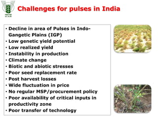 Pulses r and d in india dr. s k datta | PPTX