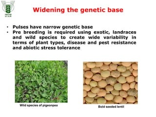 Pulses r and d in india dr. s k datta | PPTX