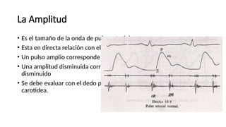 Pulso Arterial- Dra. Acosta cardiólogia.pptx