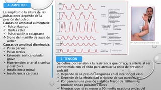 PULSO ARTERIAL Y PRESION ARTERIAL UNSCH.pptX