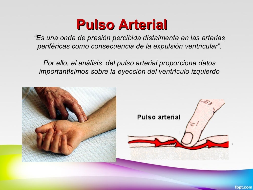 Pulso arterial y venoso