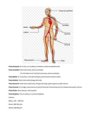Pulso lugares | DOCX