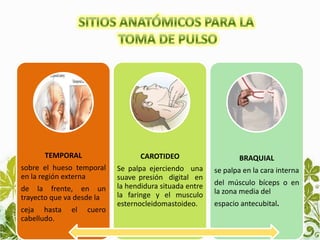 El Pulso (signo vital) | PPTX
