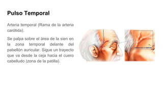 PULSOS SEMIOLOGIA.pptx