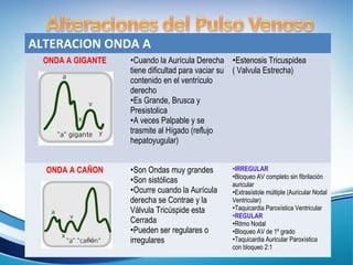 Pulso Venoso y Presion Venosa | PPT