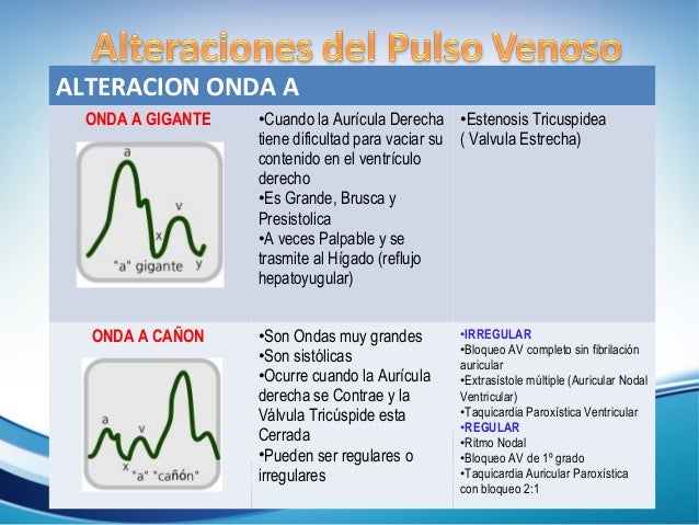 Pulso Venoso y Presion Venosa