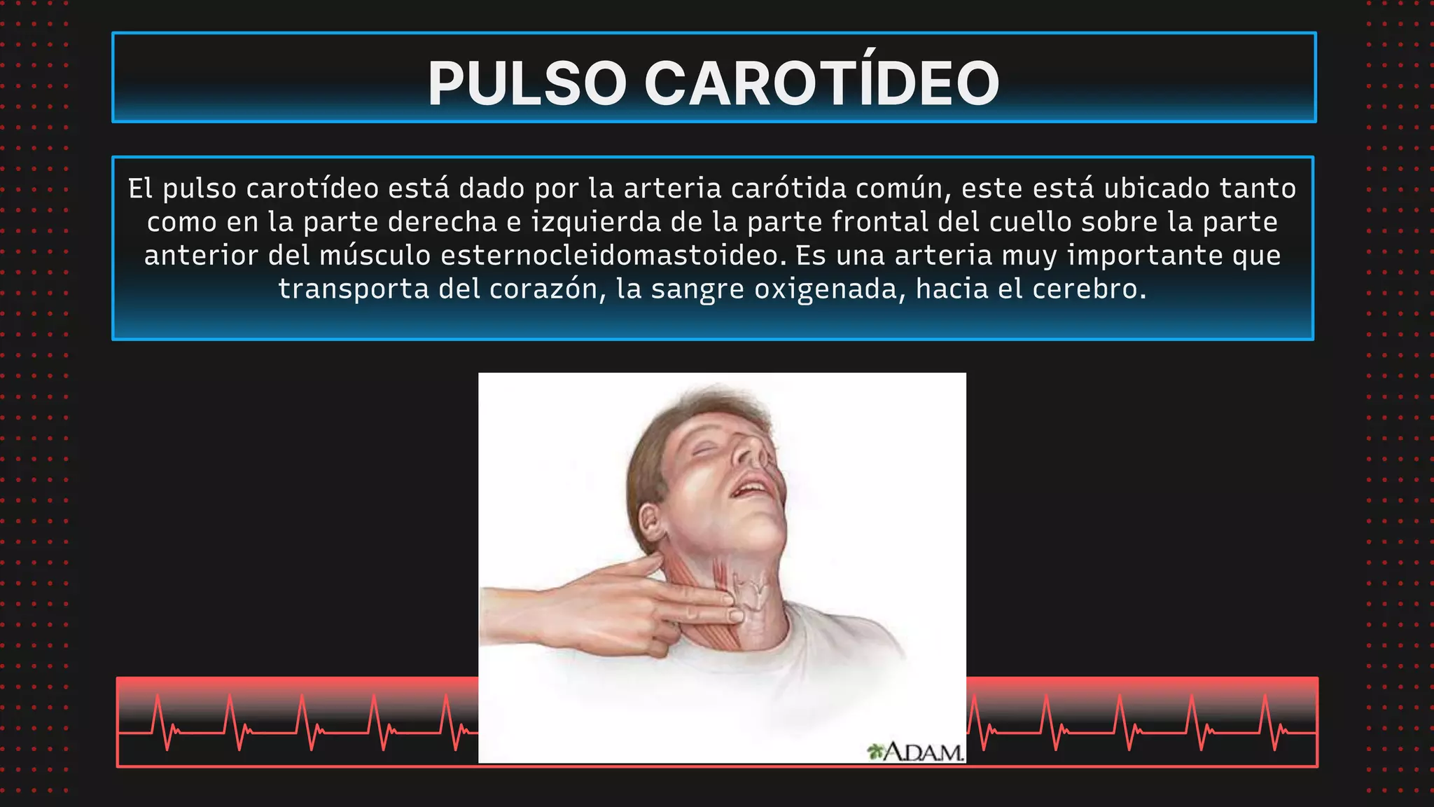 Pulso y presión arterial.pptx