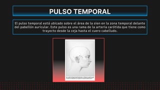 Pulso y presión arterial.pptx