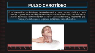 Pulso y presión arterial.pptx