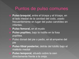 Pulso y test | PPTX