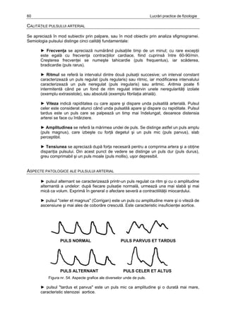Pulsul arterial | PDF